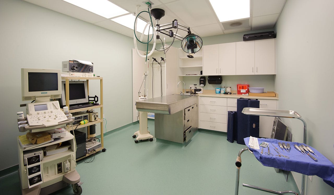 GASTROENTEROLOGY SERVICES - Foxglove Multispecialty Hospital